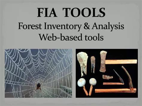 Ppt Fia Tools Forest Inventory And Analysis Web Based Tools Powerpoint Presentation Id1802325