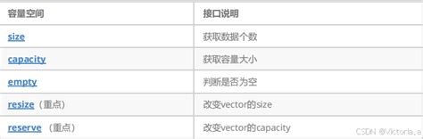 vector容器（详解） 容器vector csdn博客
