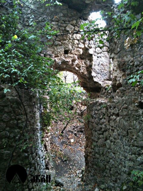 ხორნაბუჯი ანგი