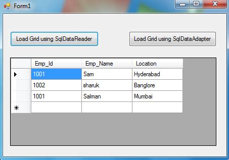 Working With DataGridView In C Net And VB Net Windows Forms Application Programming Posts