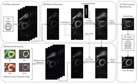 Exploring The Potential Of Deep Learning In Cardiac Diffusion Tensor