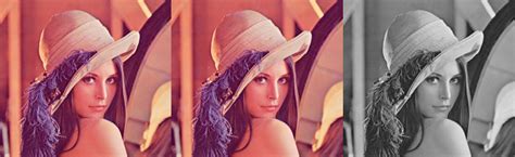 Quantification Quantification Vs Segmentation