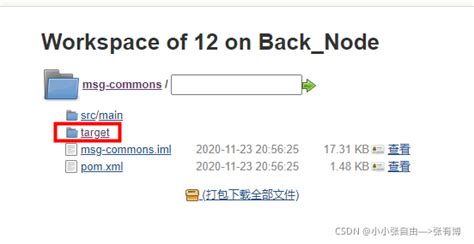 配置sonarqube的全过程 sonarqube配置 csdn博客