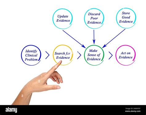 Diagram Of EBP Stock Photo Alamy