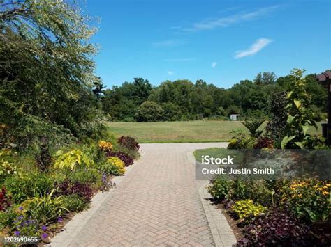 Jalan Bata Dan Bunga Dan Tanaman Dan Pohon Foto Stok Unduh Gambar Sekarang Alam Amerika