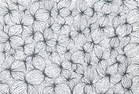 Patten Background Ornament Patten Line Vector Ornament Patten Line