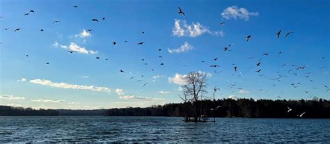 Greg Small Maryland State Arts Council