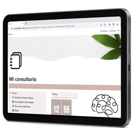 Organiza Con Notion Campo Psi Recursos