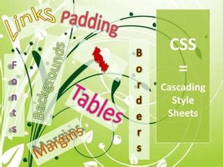 Html CSS Web Designing PPTX