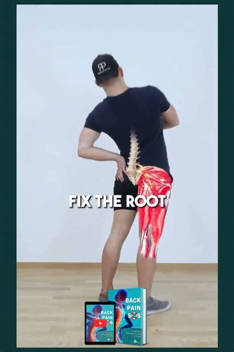 Best 12 What Is Sciatica With Examples Artofit