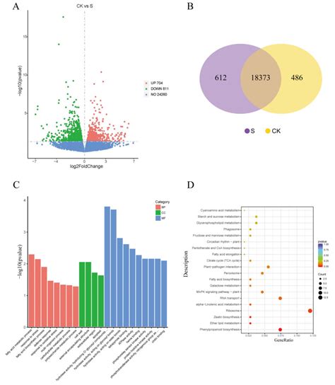 Gene Expression Profiles And Flavonoid Accumulation During Salt Stress In Ginkgo Biloba