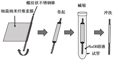 Bacterial Nanocellulose Base Tube With Inner Surface Texture