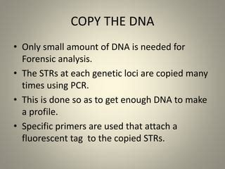 Dna Profiling PPT