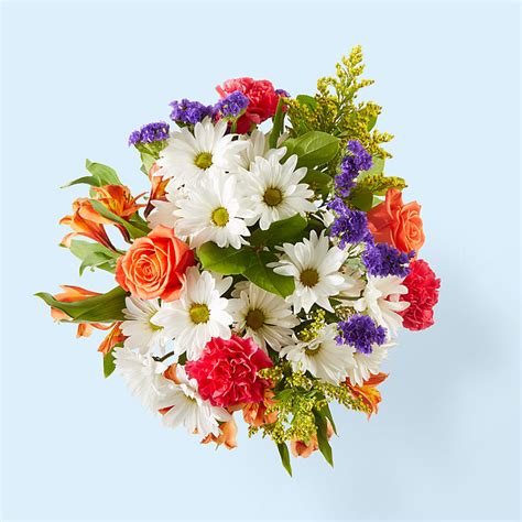 Oopsie Daisy Bouquet