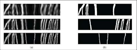 a multiscale analysis of polar image wavelet approximation