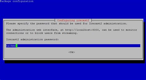 Raspberry Pi Internet Radio And Streaming Station Artofit
