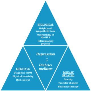Factors Implicated In The Causation Of A Bidirectional Relationship Download Scientific Diagram