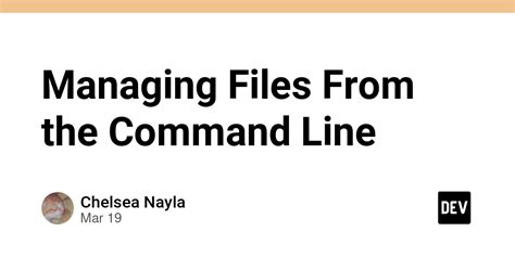 Managing Files From The Command Line Dev Community