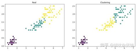 06 基于多种算法实现鸢尾花聚类 知乎