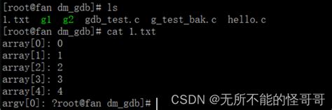 【五、深入浅出gdb调试器】如何修复程序bug或优化代码：gdb调试器的来龙去脉与debug全方位实战详解（一） 阿里云开发者社区