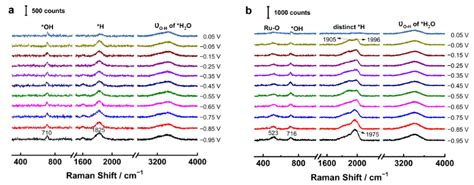 厦门大学李剑锋nature Communications：原位拉曼光谱捕捉到了钌表面、界面水、 H和 Oh中间体的动态光谱证据 微信文章 仪器谱