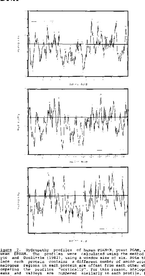 figure 7 from isolation of a cdna encoding the muscle specific subunit