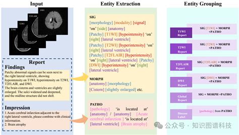 医疗多模态基础大模型在临床诊疗中的应用、挑战与未来方向 清华大学 清华 医疗多模态大模型论文 csdn博客
