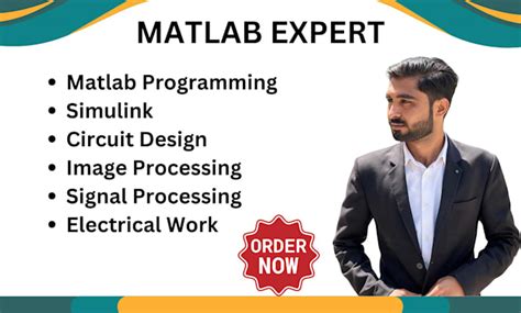 Do Matlab Programming Simulink Image Signal Processing And Gui