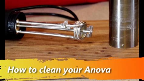 How To Clean Anova Sous Vide Cleanestor