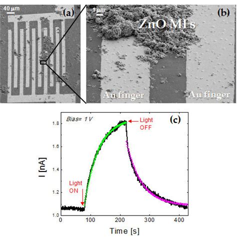A Schematic Synthesis Diagram Of The 3d Flower Like Hierarchical Zno