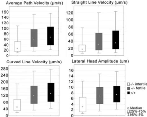 Sperm Motility As Assessed By Using A Computer Assisted Sperm Analysis Download Scientific