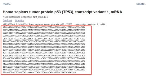 0基础教程 Oligo 7 设计和分析pcr引物的保姆级教程（带oligo 7安装包） 哔哩哔哩