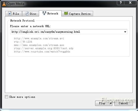 How To Download Files With VLC Media Player Filepuma Reviews