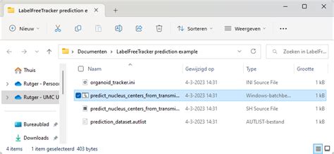 GitHub Jvzonlab LabelFreeTracker Predicts Nuclear And Cell Envelope Reporters From