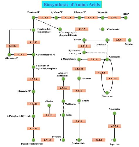 PvP Pathway