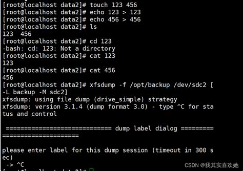 Linux文件系统与日志分析 Csdn博客