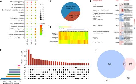 New Insights Into Transcriptome Variation During Cattle Adipocyte