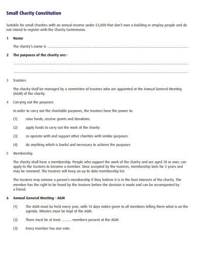 8 Charity Constitution Templates In Pdf Doc