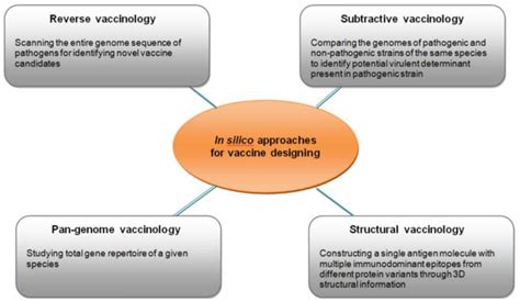 Different Types Of In Silico Approaches For Identifying Potential