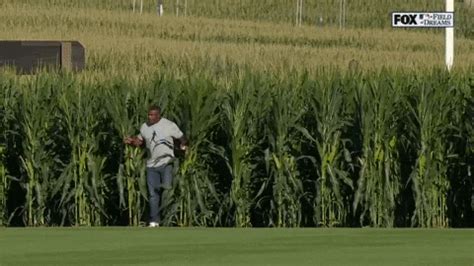Field Of Dreams James Jones If You Build It 