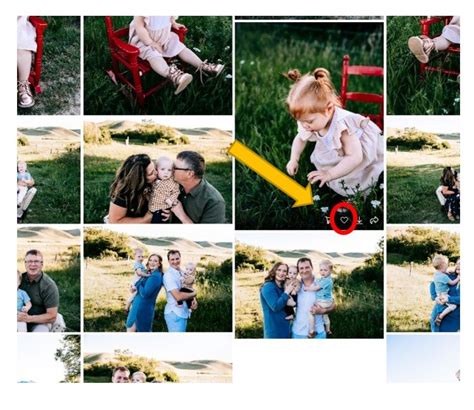 Pixieset Gallery Guide This Little Light Photography