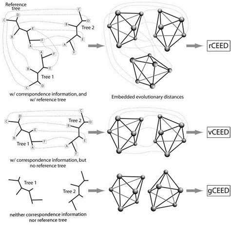 the three different types of embedded structure alignment described in download scientific