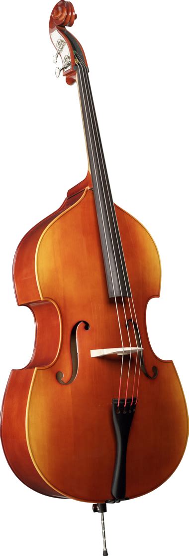 1452mp Fine String Bass Hunter Musical