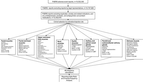 Analysis Flow Chart And Inclusionexclusion Terms For Cohort