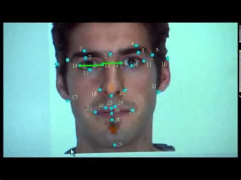 Science Of Sex Golden Ratio YouTube