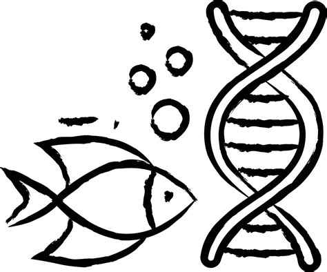 Fish Dna Hand Drawn Vector Illustration 32182687 Vector Art At Vecteezy