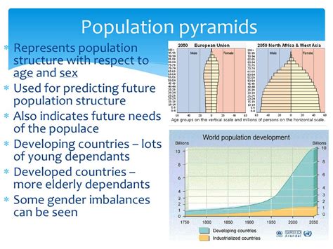 Demographic Trends Chapter Ppt Download