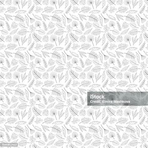 13가지 다른 야자수 잎이 있는 매끄러운 패턴 흑백 벡터 그림을 낙서합니다 0명에 대한 스톡 벡터 아트 및 기타 이미지 0명 개체 그룹 검은색 Istock