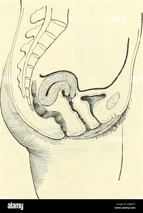 Aseptic Principles Hi Res Stock Photography And Images Alamy