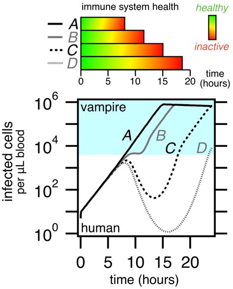 Simulation Results For Populations Of Infected Cells As A Humans